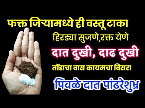 दात दुखी किडणे,हिरड्या सुजणे रक्त येणे,दातांसाठी खास घरगुती उपाय,dat ...