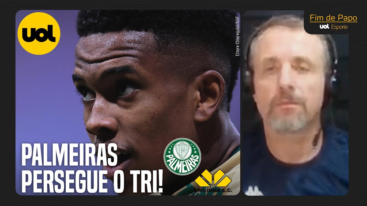 'PALMEIRAS É O PRINCIPAL FAVORITO AO TÍTULO DO BRASILEIRÃO', AFIRMA ...