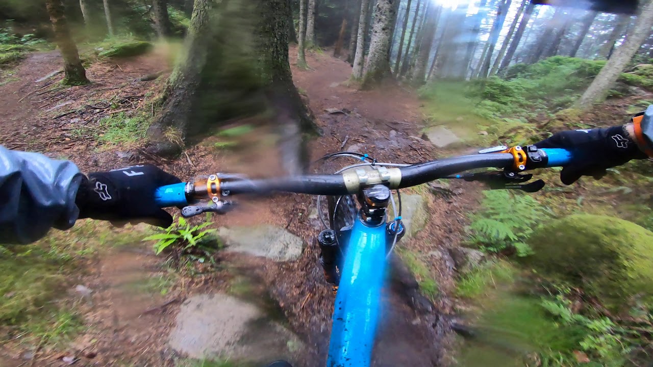 Yellow River run Rostrevor - YouTube