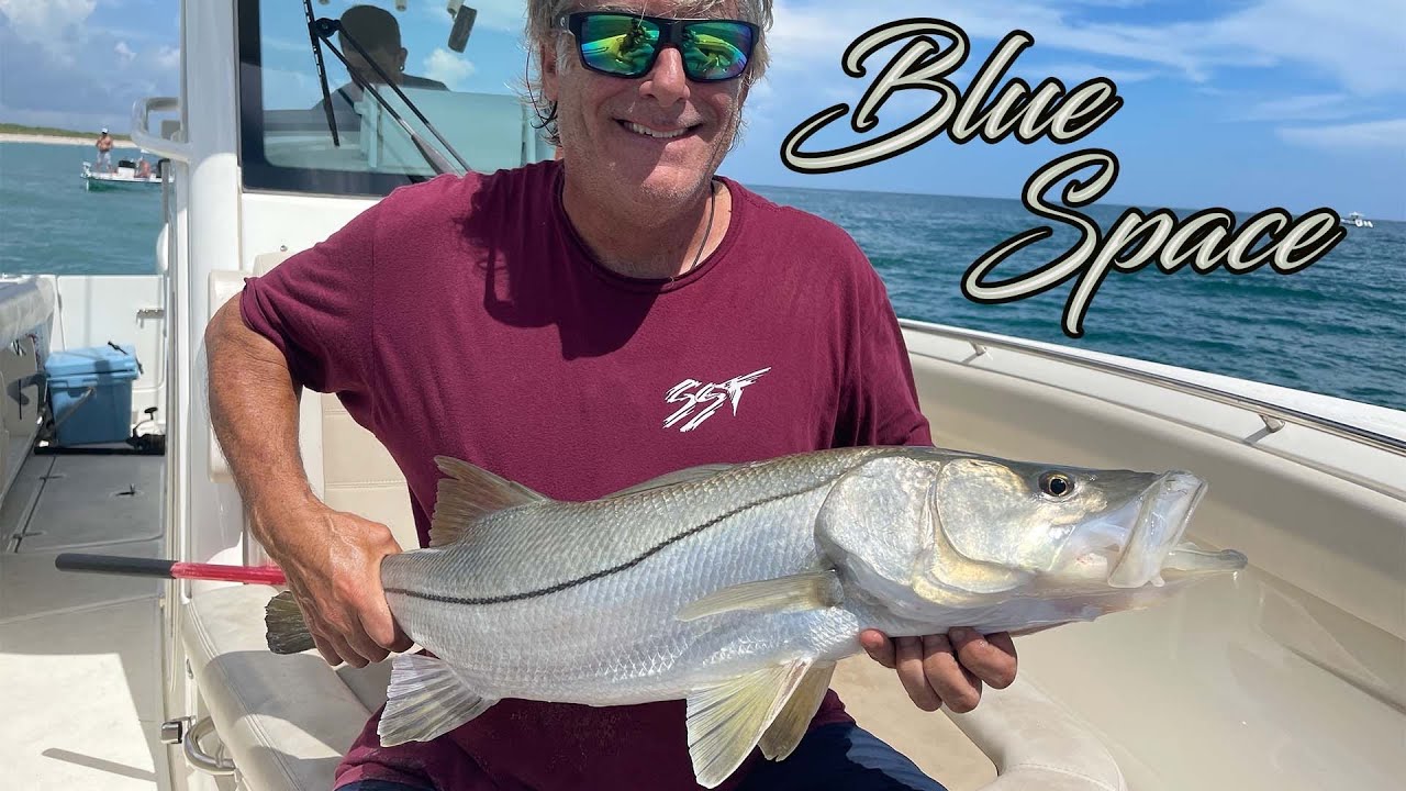 Sebastian Inlet Snook Fishing - The Blue Space - YouTube