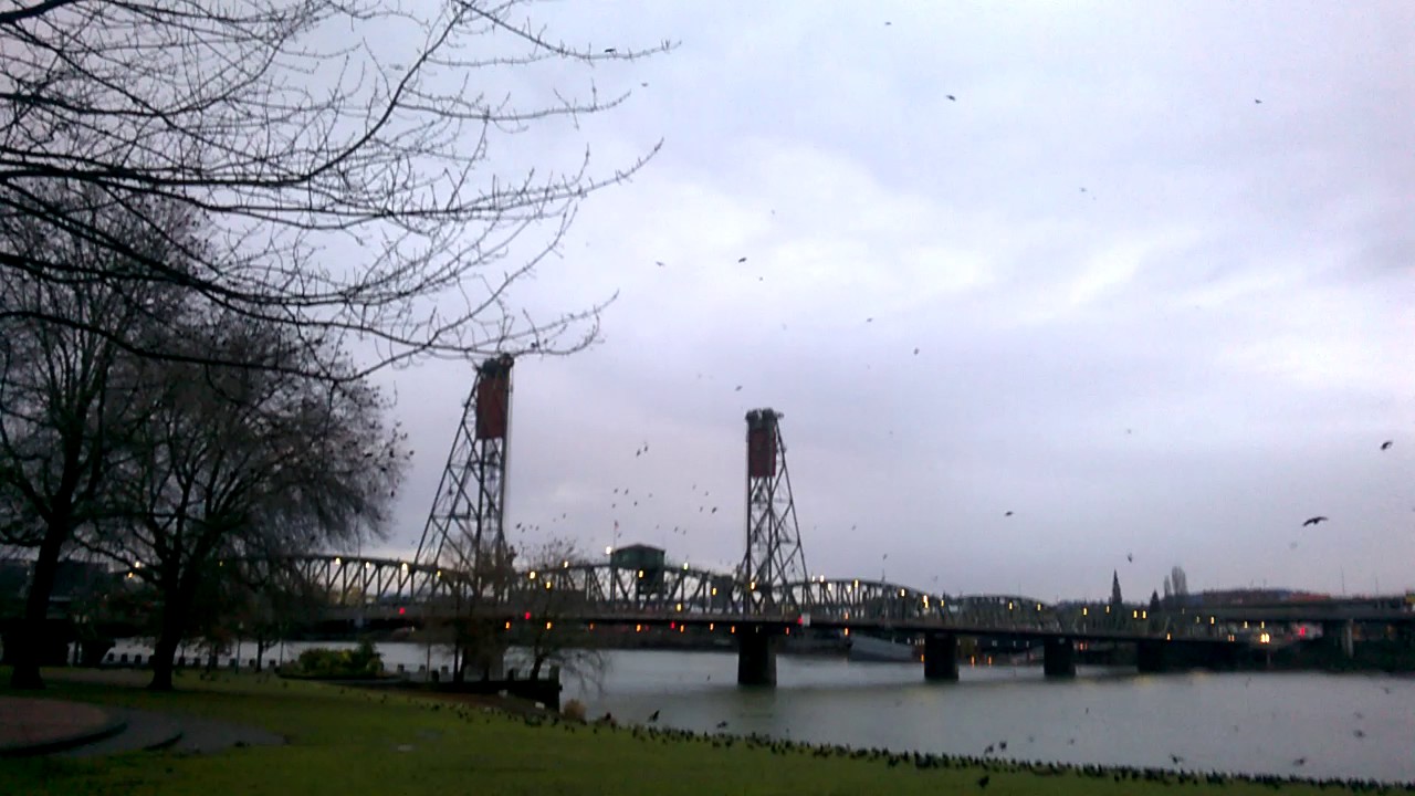 Portland Crows 2017 - YouTube