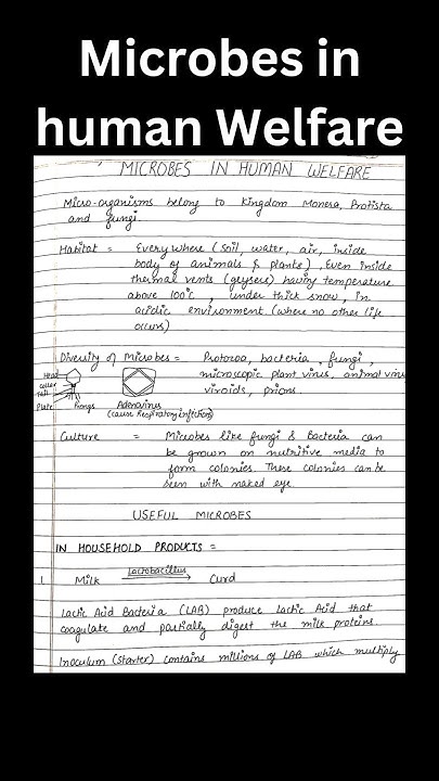 Microbes In Human Welfare | Class 12 biology | Full notes Pdf link in ...