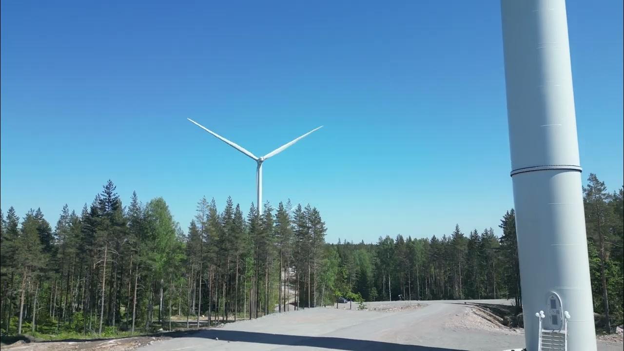 Vindkraftpark som ger förtur till fladdermöss - YouTube