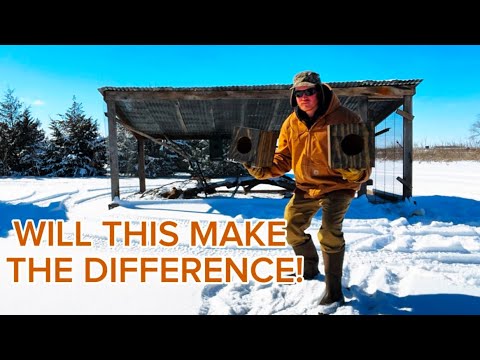New DIY Mandarin Nesting Boxes! - YouTube