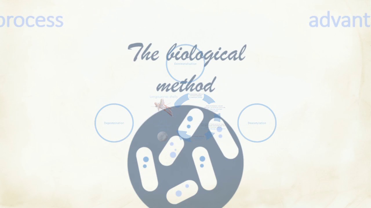 CuanTec's sustainable process to extract chitin and chitosan - YouTube