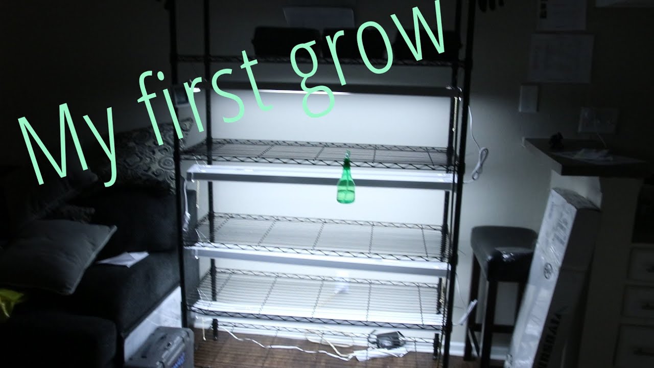 My First Microgreen Setup (2019) T5 LED lights - YouTube