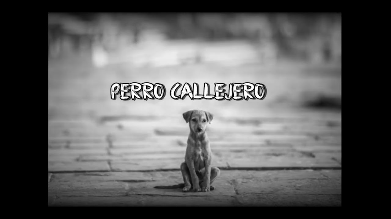 Instrumental de Rap Duro – Estilo Malandro Underground "Perro callejero ...