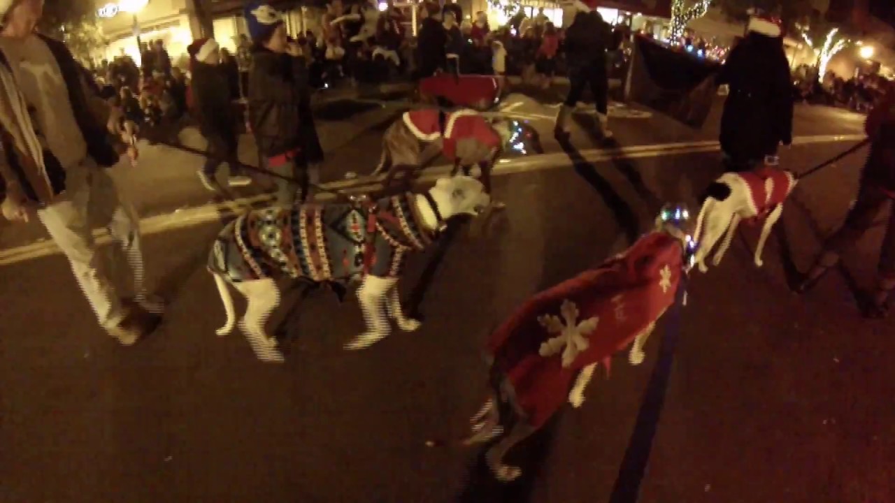 GreySave at the Montrose Christmas Parade 2016 - YouTube