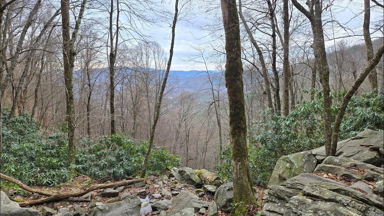 Gabes Mountain Trail and Hen Wallow Falls, Great Smoky Mountains ...
