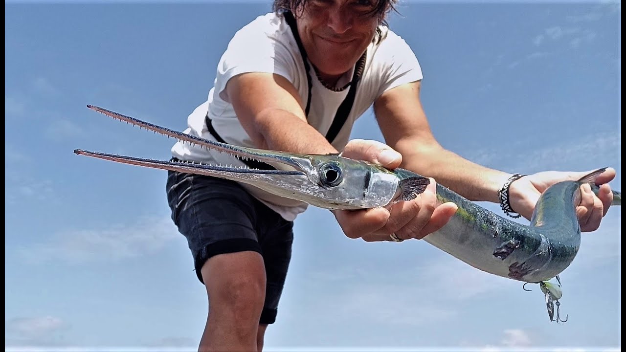 BIG AGUGLIE a ULTRALIGHT SPINNING, PESCE di stagione sempre divertente ...