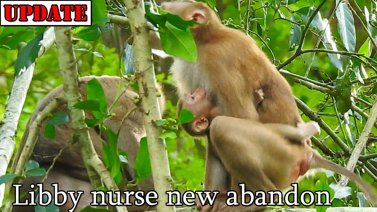 Great job New abandon baby got young mom Libby adopt hug by warm act ...