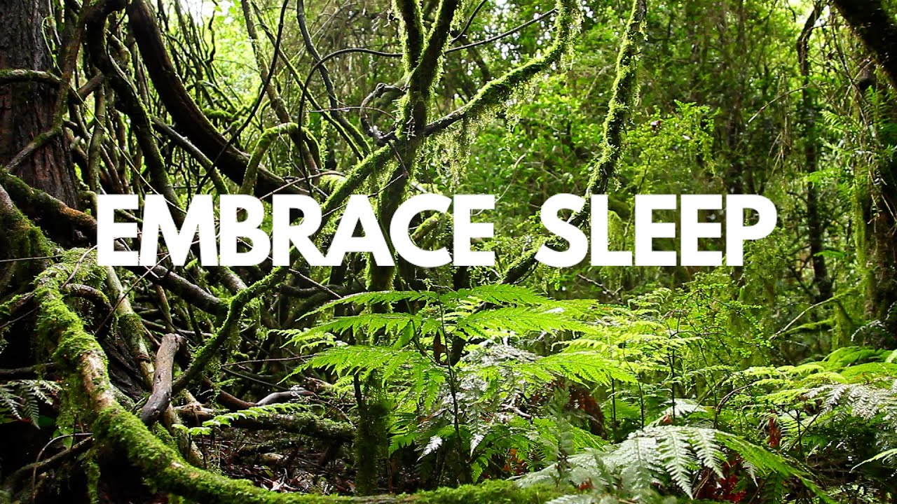 Embrace Sleep: Guided Meditation For Deep, Grounded Sleep And Reducing ...