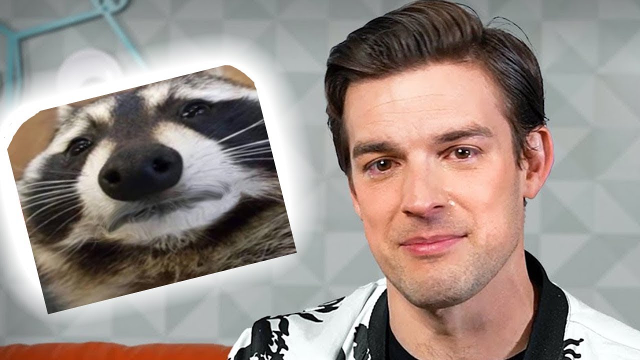 Don't Leave Us MatPat - YouTube