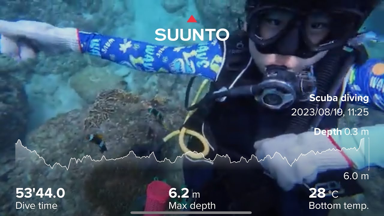 20230819 Mike Jr 2nd dive - YouTube