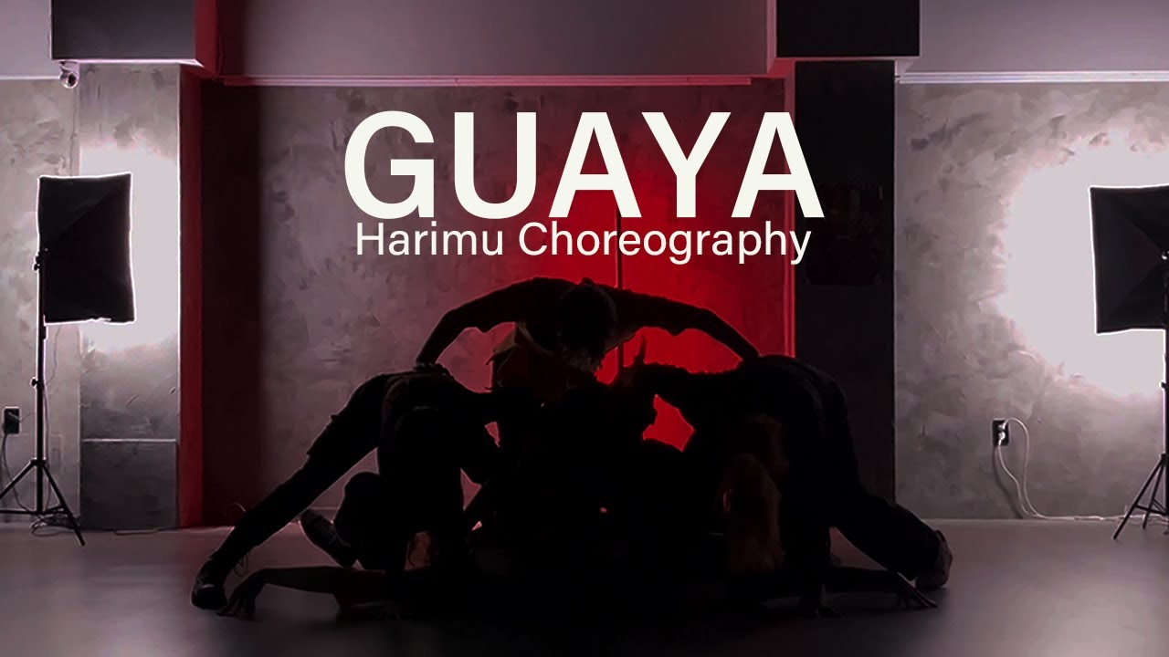 [청주대 댄스동아리 ABLE] Eva Simons - Guaya | Harimu Choreography | dancecover ...