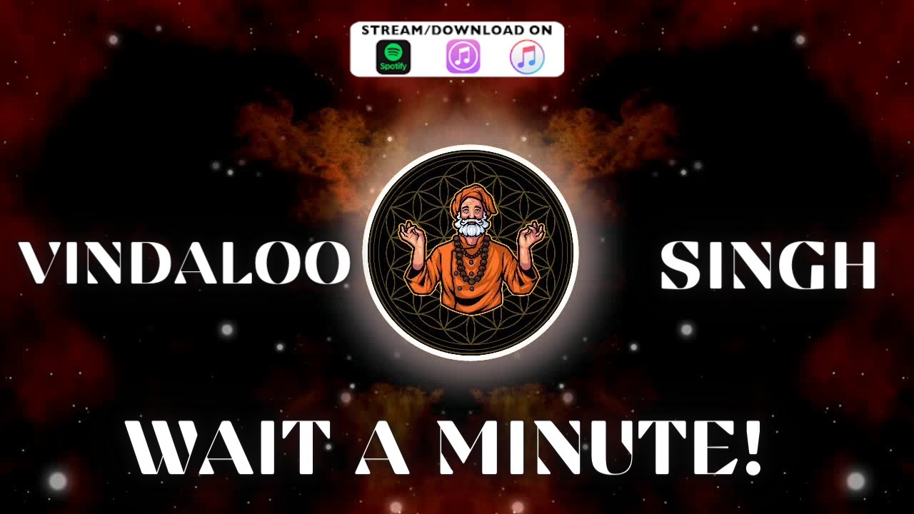 WAIT A MINUTE! l Funny Indian Remix by Vindaloo Singh - YouTube