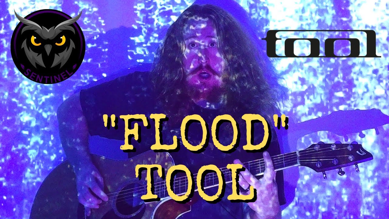 FLOOD (TOOL Cover) - Sentinel - YouTube