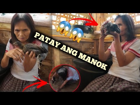 PATAY ANG MANOK SINAKAL NI NANAY LILINA 😅 @PugongByahero @kingLuckss # ...
