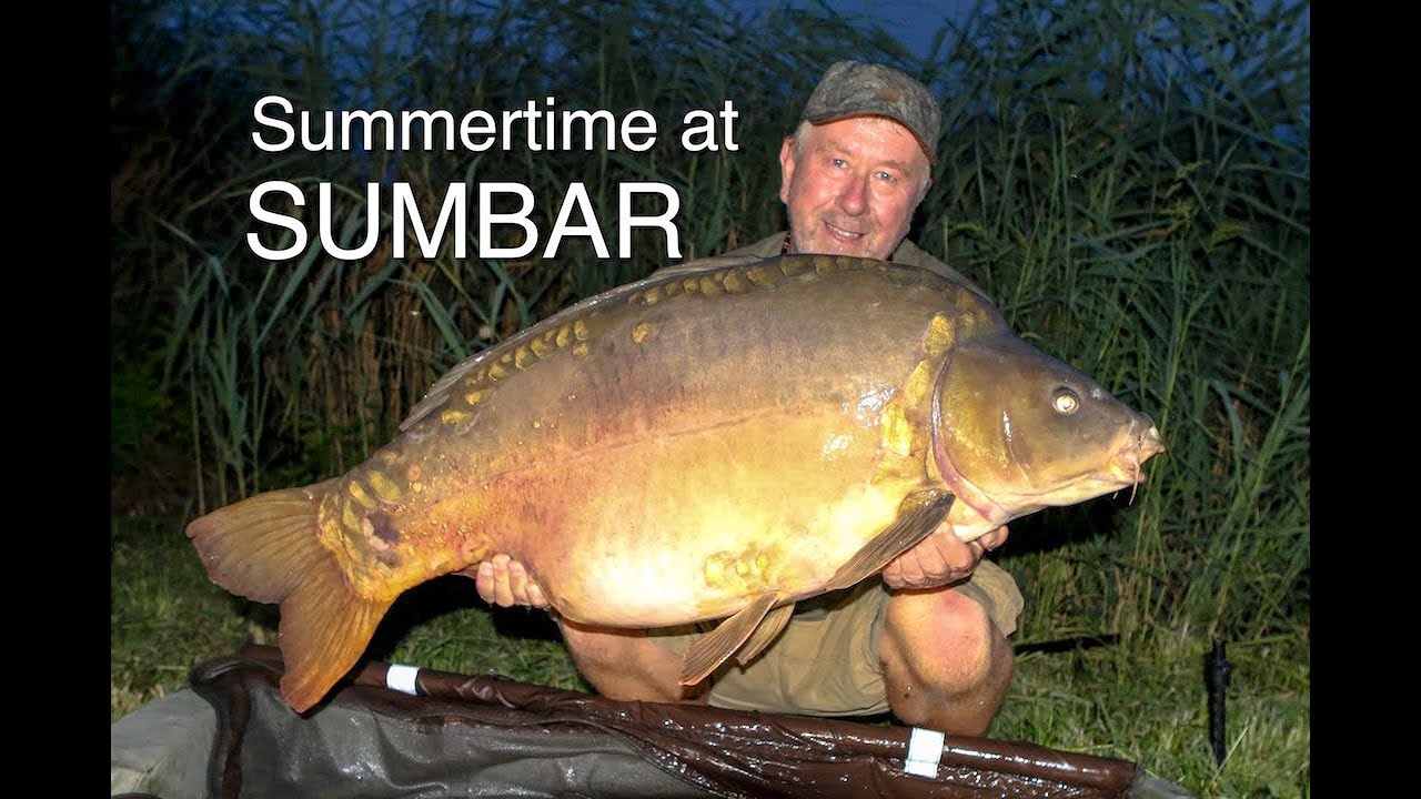 Summertime at Sumbar - YouTube