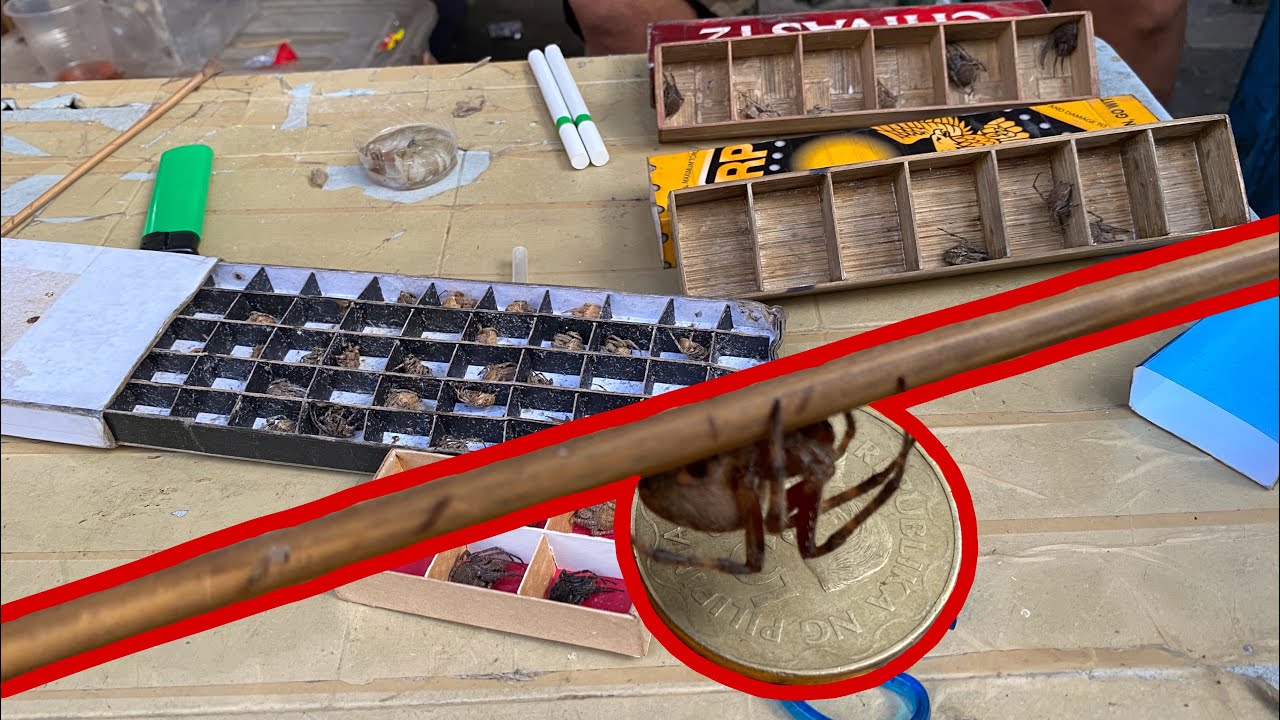 MGA GAGAMBA SA MANILA PART 2 - YouTube