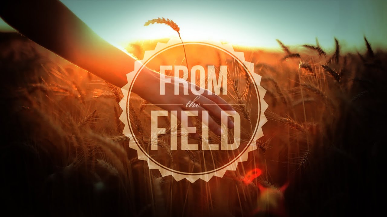From the Field: Walking Miracles (Full Service) - YouTube