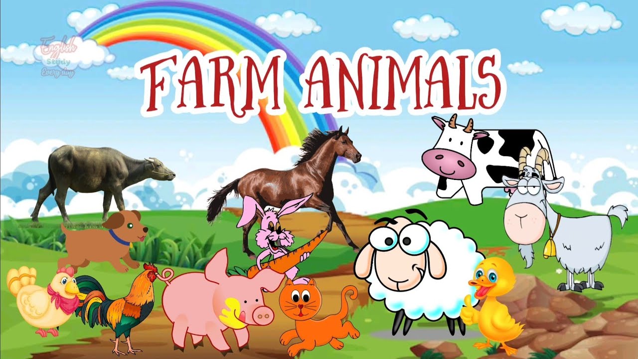 Farm Animals flashcards - Learn English vocabulary with pictures for ...