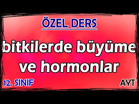 21) Bitkilerde Büyüme ve Hormonlar - Özel Ders (12. Sınıf)