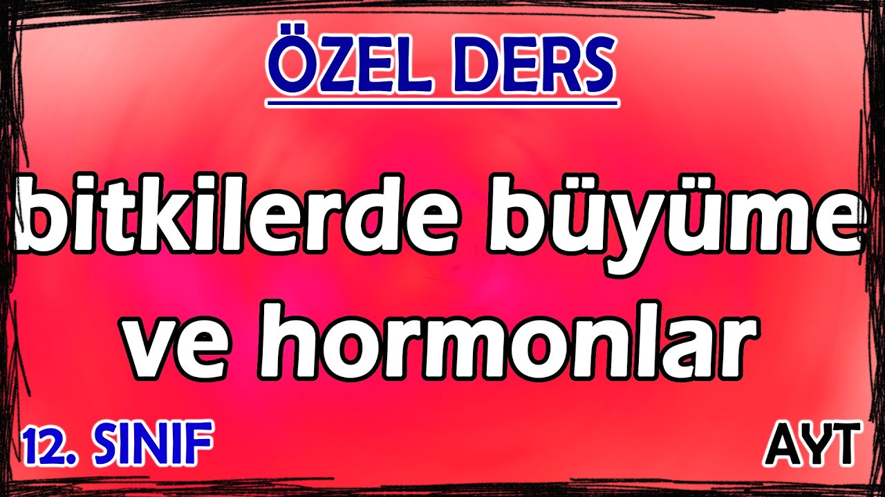 21) Bitkilerde Büyüme ve Hormonlar - Özel Ders (12. Sınıf) - YouTube