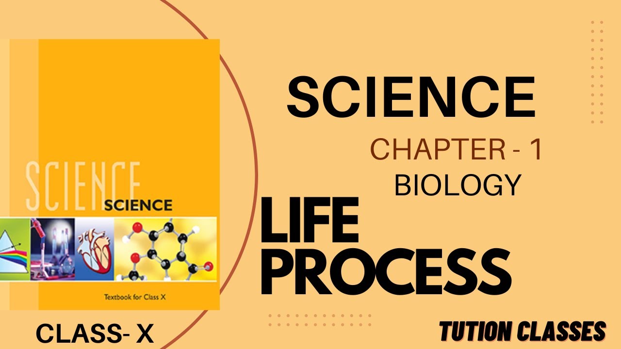 SCIENCE CLASS 10|NCERT BOOK BIOLOGY CHAPTER 1|PART 1 - YouTube