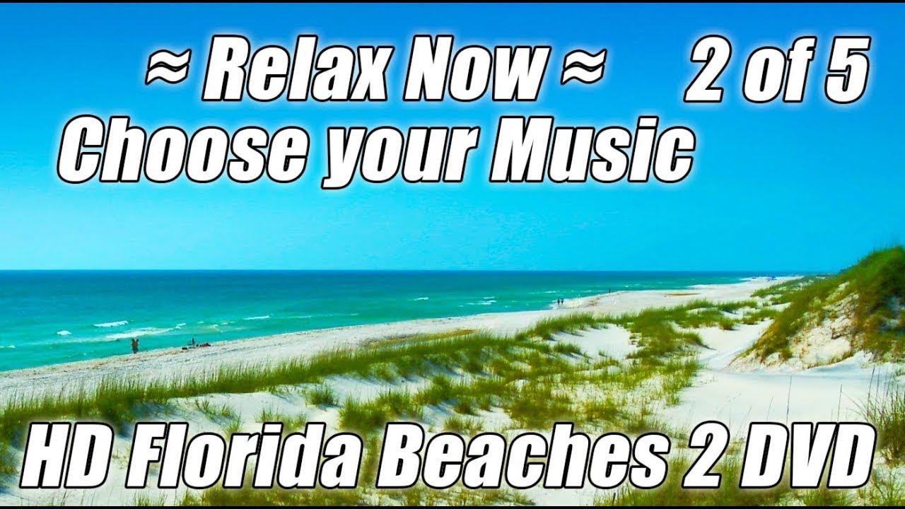 RELAXING MUSIC OCEAN Choose CLASSICAL STUDY MUSIC Piano for Studying ...