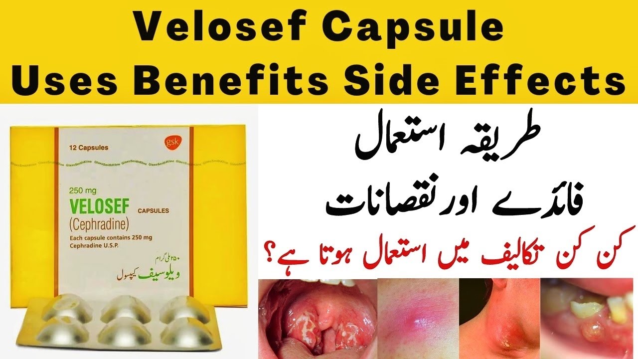 Velosef Capsule 250 mg | Velosef Capsule Used For In Urdu - YouTube