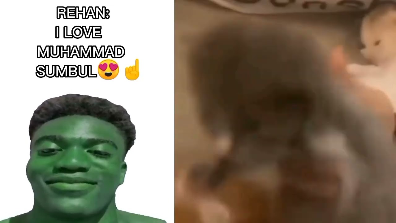 the loves arabian the rehan Bogor still live and complete the ...