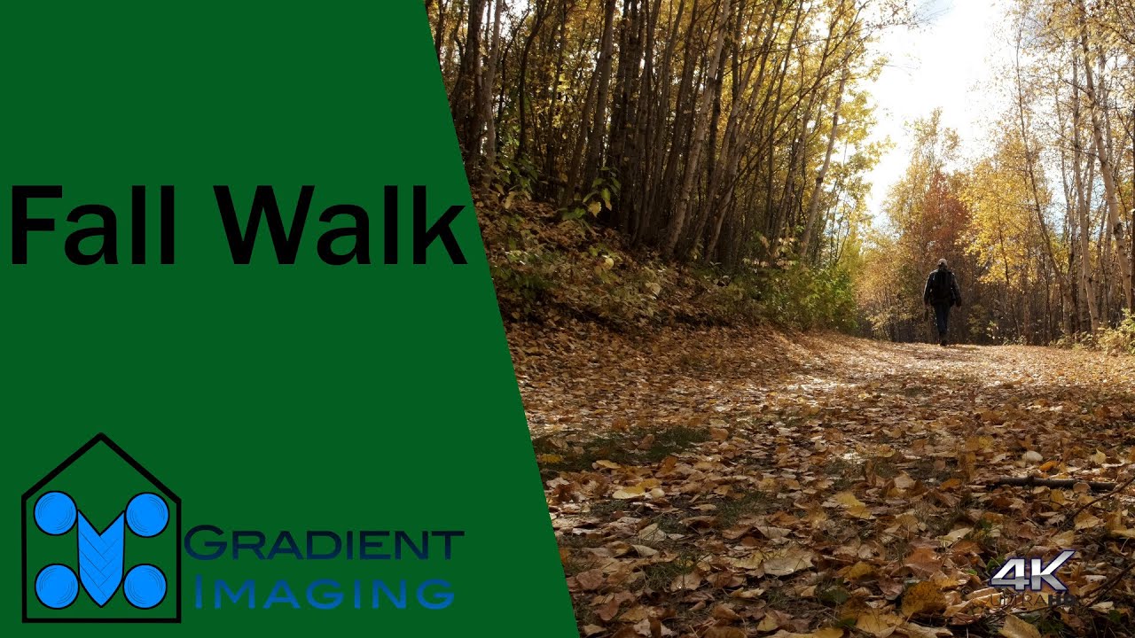 Fall Walk - YouTube