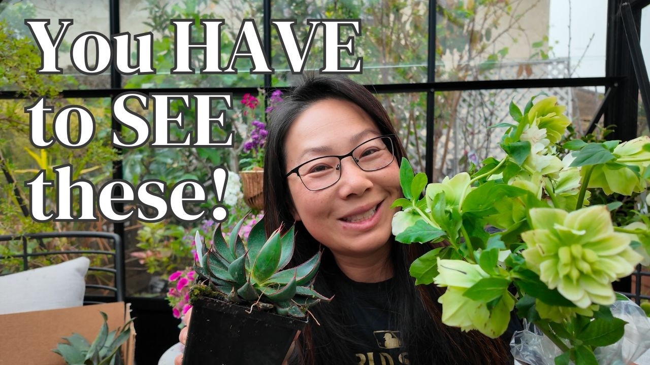 Unboxing 2 Unique Perennials You Need to Try in Your Garden Now - YouTube