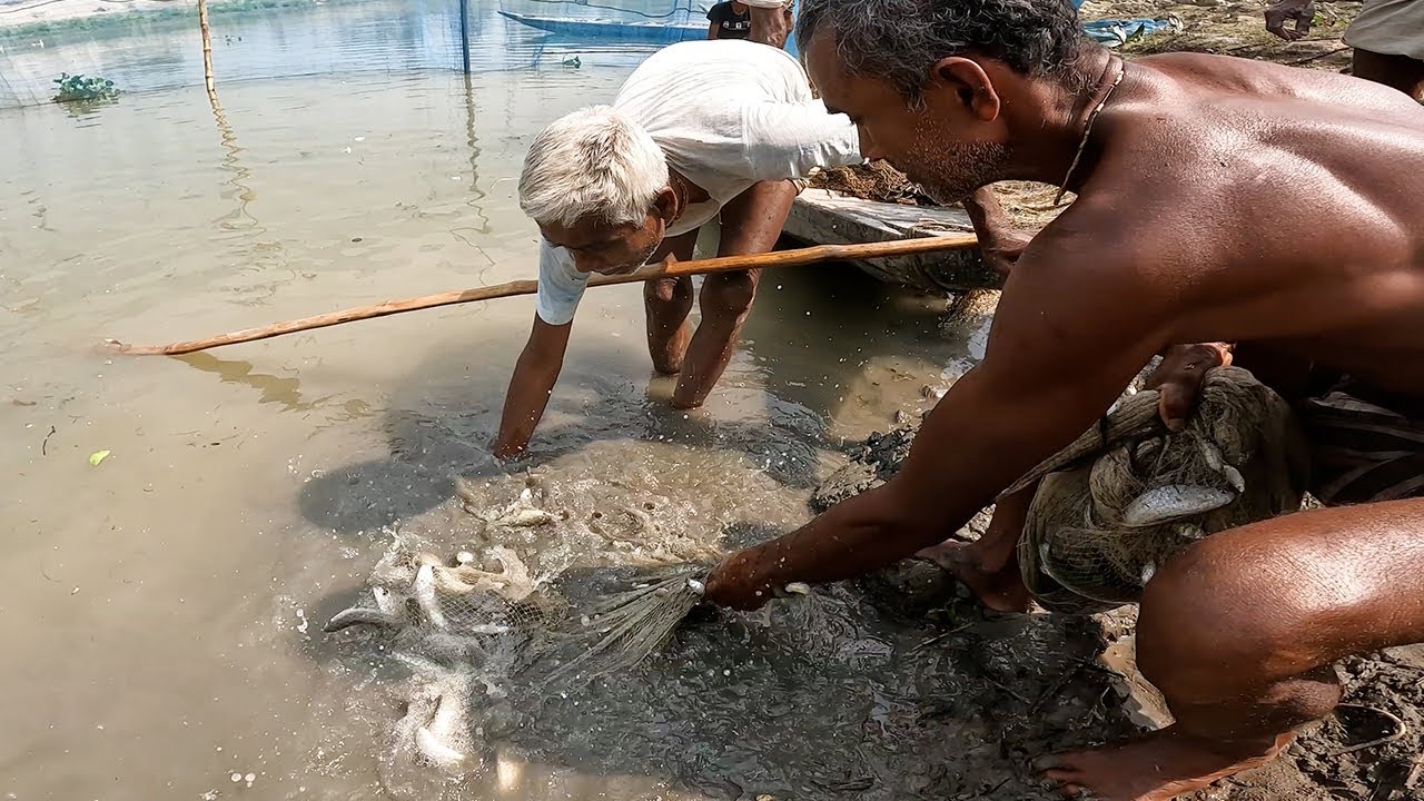 Fishing From The River Video | Best Fish Catching in #River - YouTube