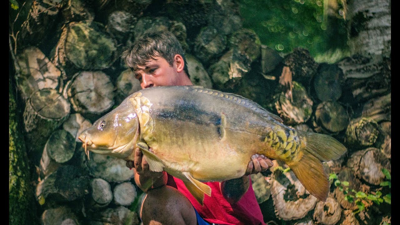 Solar Tackle UK at Michele's Lake in France The Carp Specialist - YouTube