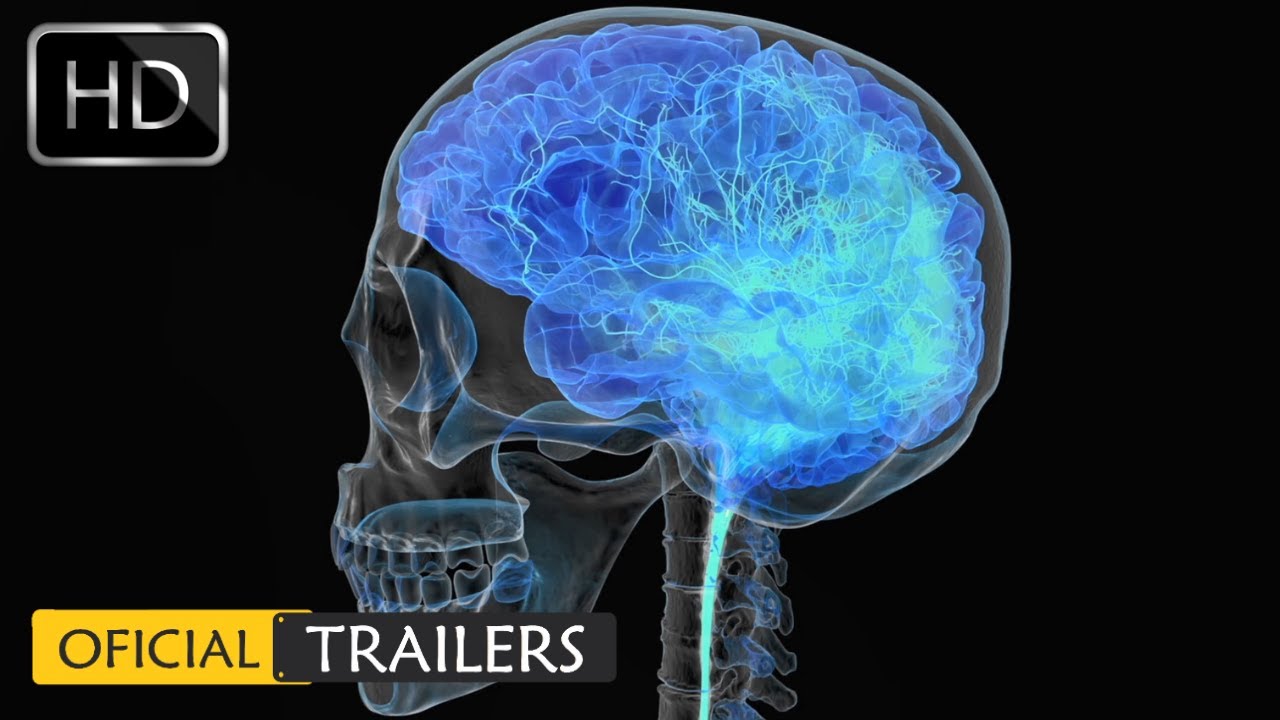 The Blech Effect Trailer #1 | TopCine Movie TV - YouTube