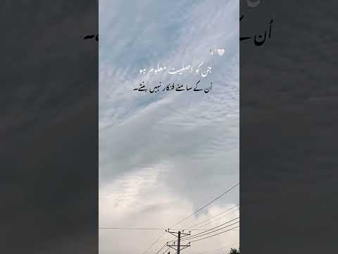 Jinki askiyat malum ho😑#foryou #abtobusaikhidhunhai #subscribe #shortsviral