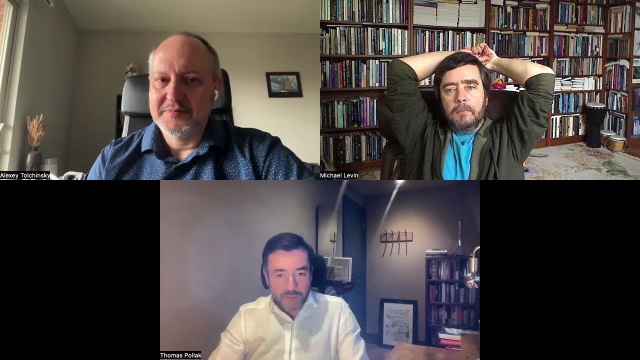 Discussion with Alexey Tolchinsky and Thomas Pollak 2 - YouTube