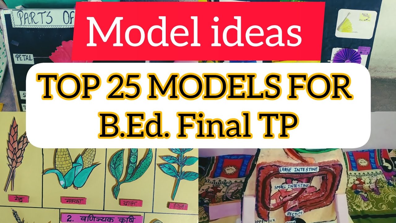 Top 25 model ideas for B.Ed.Final TP (teaching practice)📚 Model ideas # ...