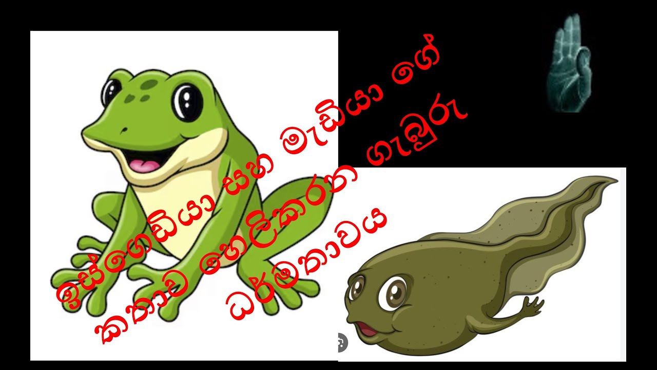 Analogy of Frog & Tadpole / සිත සහ සිහිය /ඉස්ගෙඩියා සහ මැඩියා ගේ කතාව ...