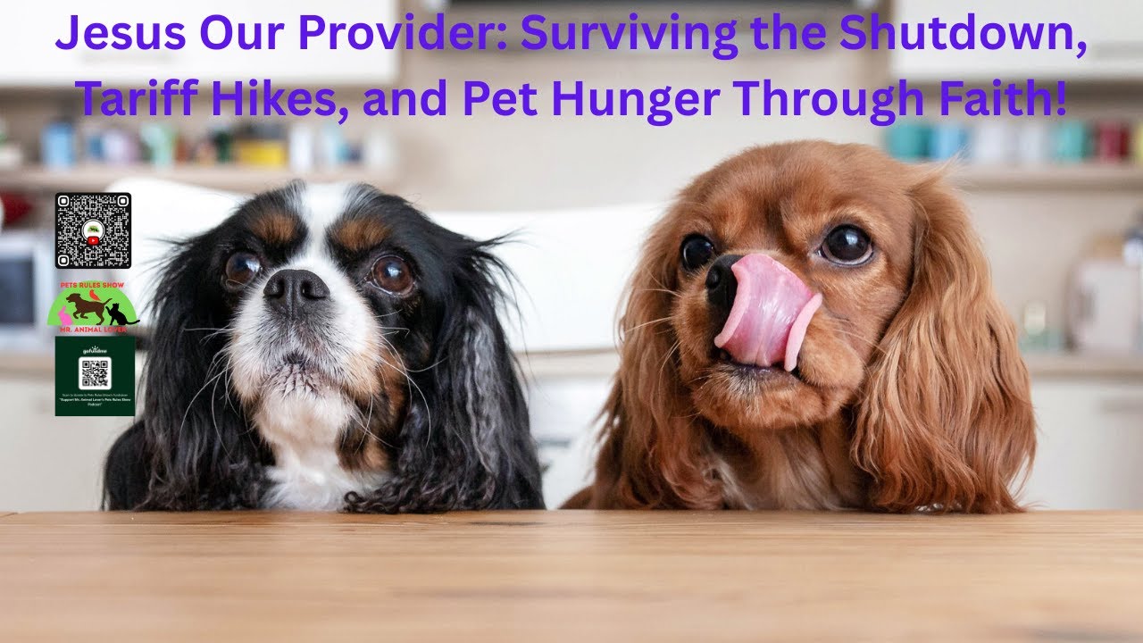 Jesus Our Provider: Surviving the Shutdown, Tariff Hikes, and Pet ...