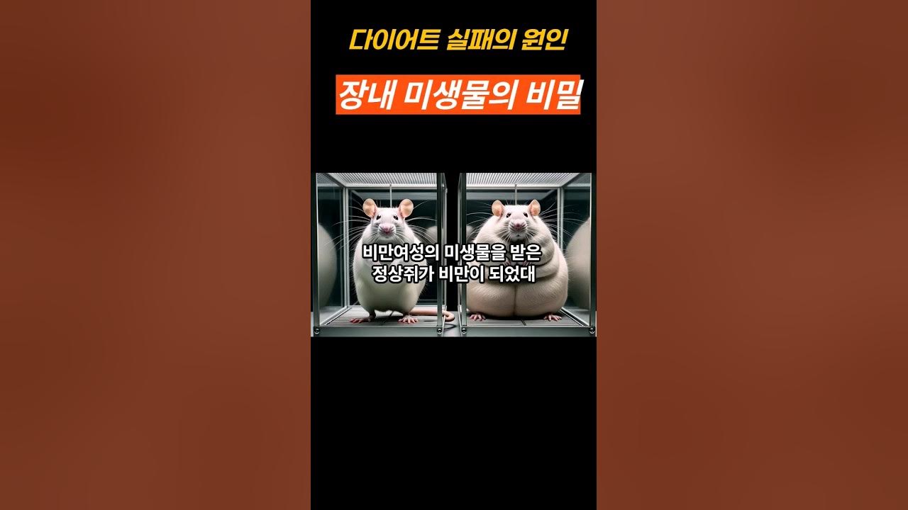 다이어트 실패의 원인 장내 미생물의 비밀 Youtube