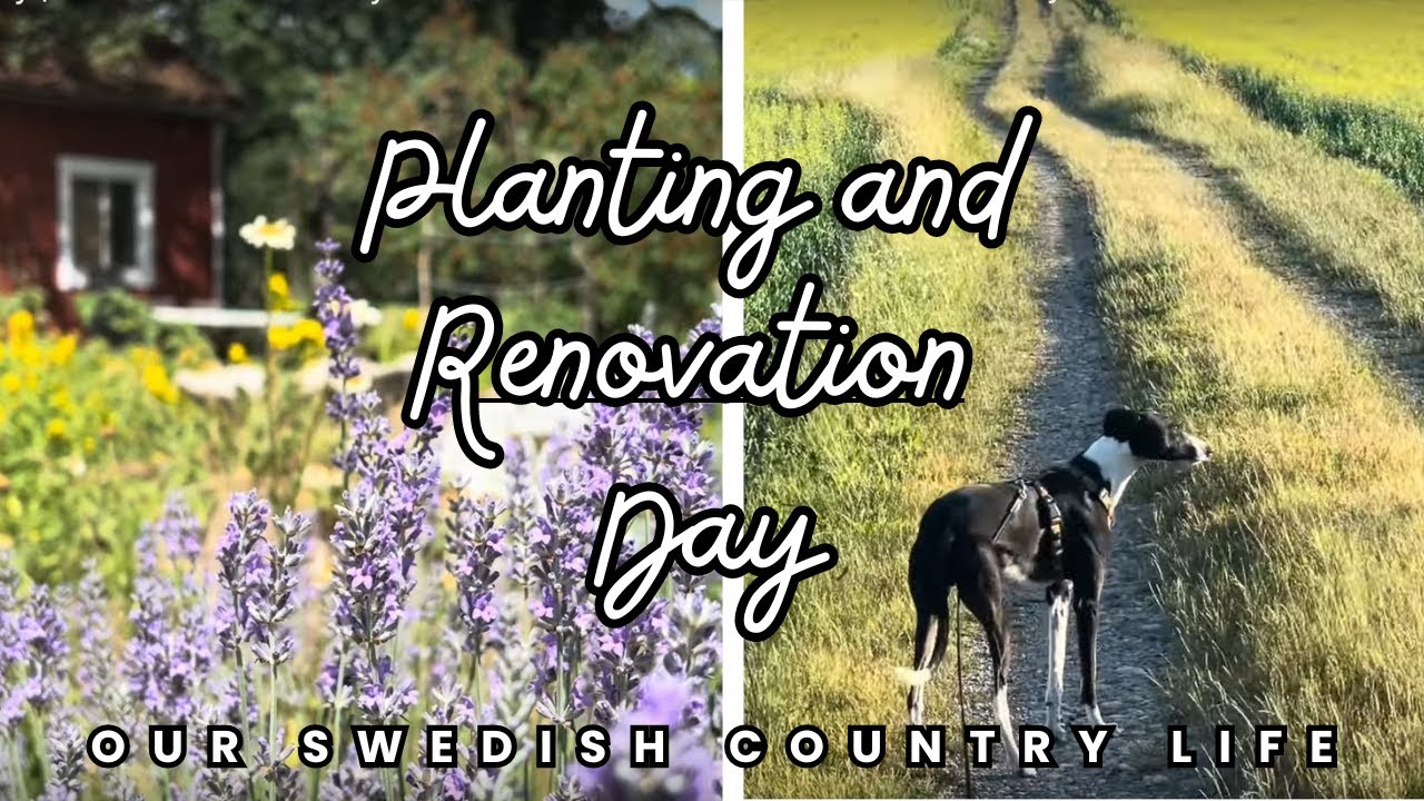 Planting and Renovation Day | Our Swedish Country Life - YouTube