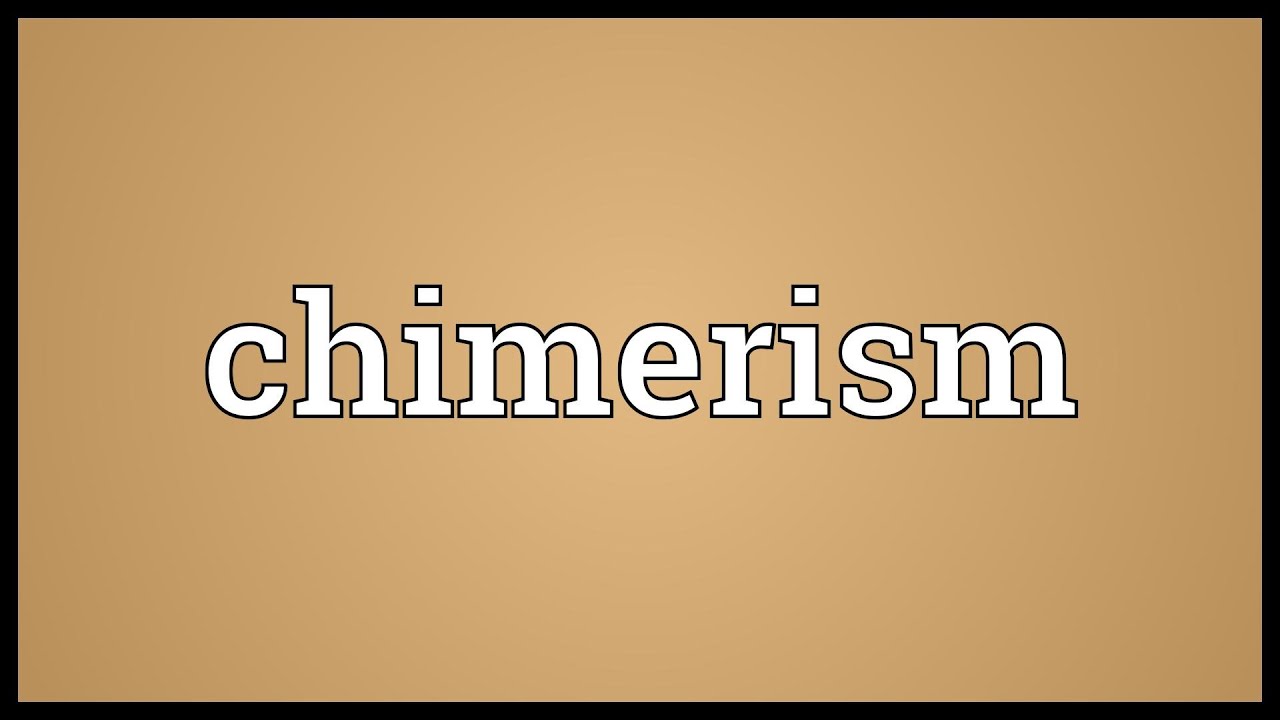 Chimerism Meaning - YouTube