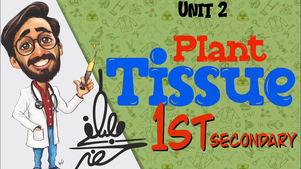 Plant Tissue Biology 1 Sec دكتور مصطفى خضر Youtube