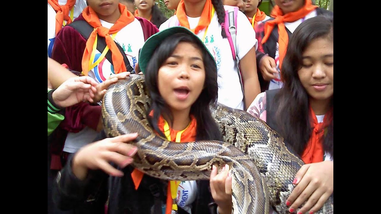 Regional Encampment 2013 NORTHERN LUZON -Patul National High School ...