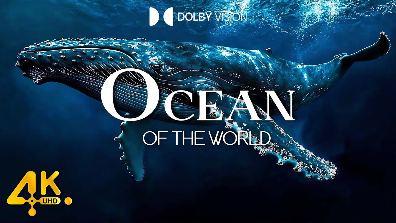 Unveiling the Underwater World in HDR 4K Ultra HD Dolby Vision™ 60fps ...