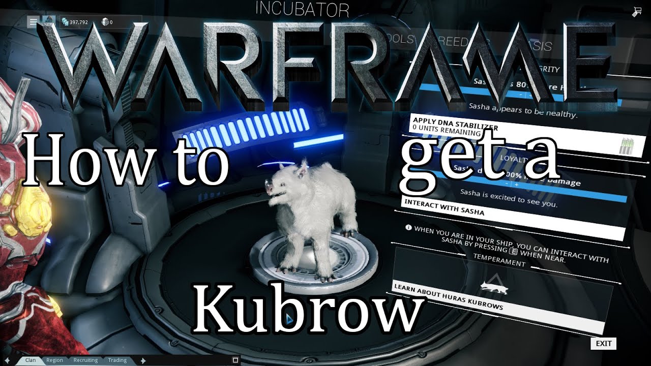 Warframe Tutorial - How to get a Kubrow - YouTube