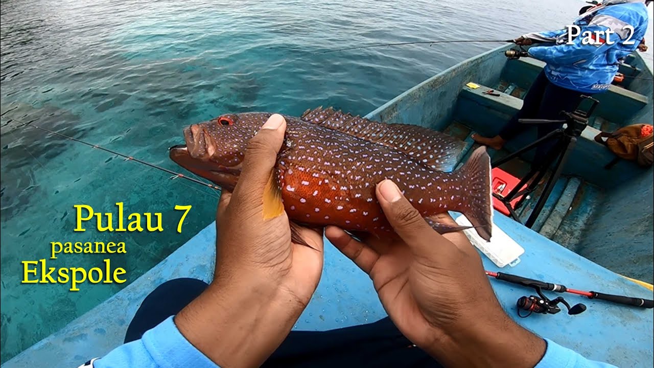 Casting Ultralight Fishing Karang Dangkal - YouTube